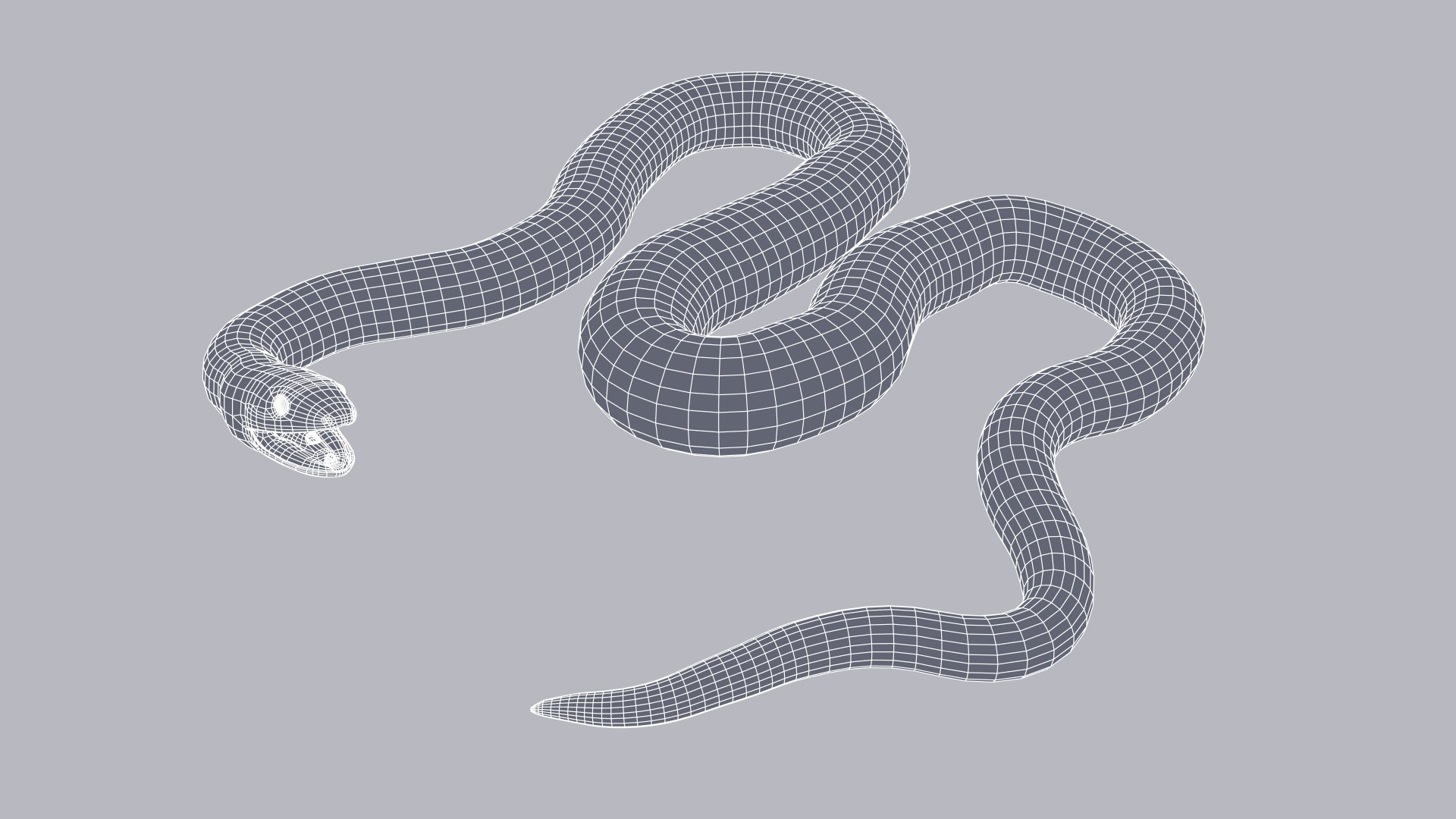 3D Rigged Rubber Boa Model - TurboSquid 1952294