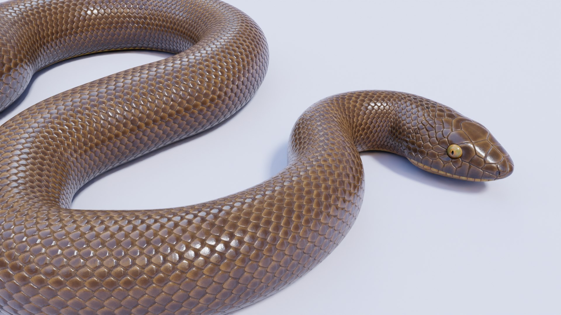 3D Rigged Rubber Boa Model - TurboSquid 1952294