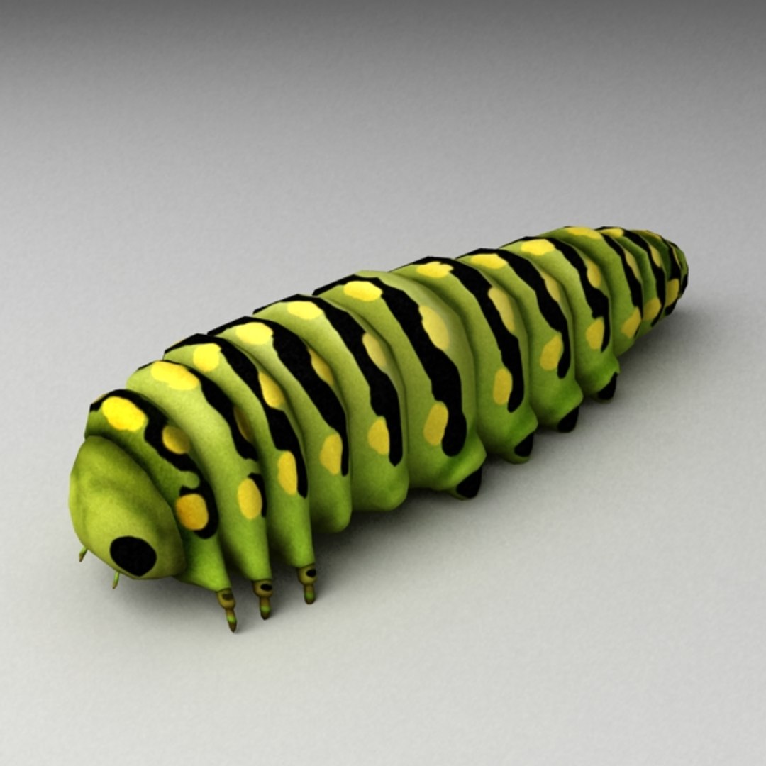 Ged Animation 3d Obj