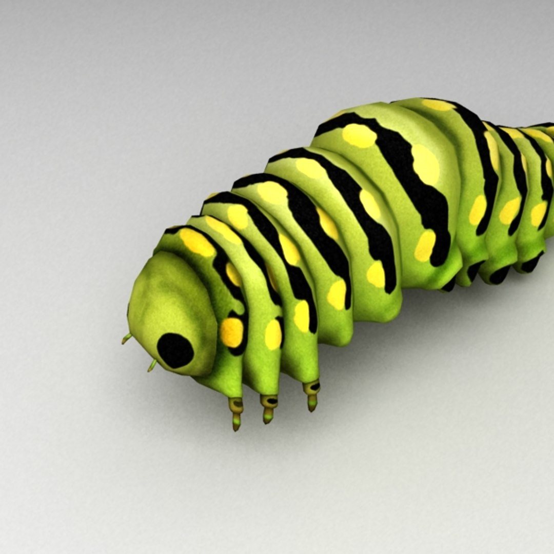 Ged Animation 3d Obj