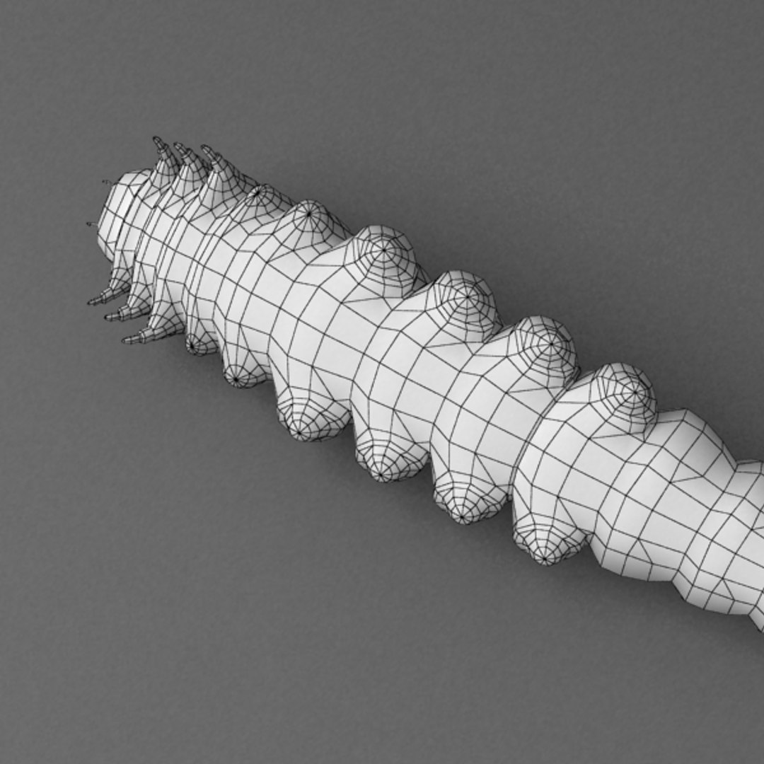 Ged Animation 3d Obj
