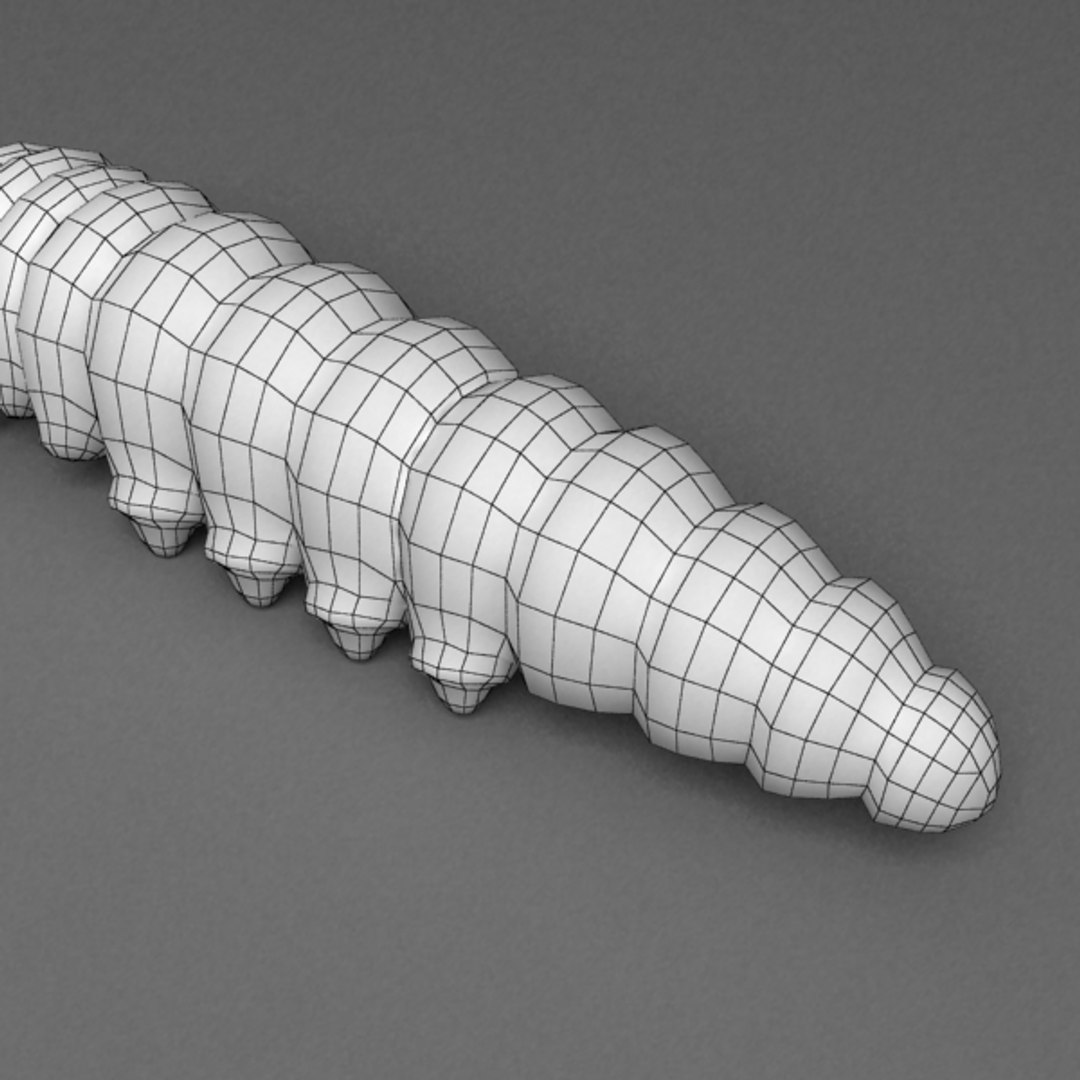 Ged Animation 3d Obj
