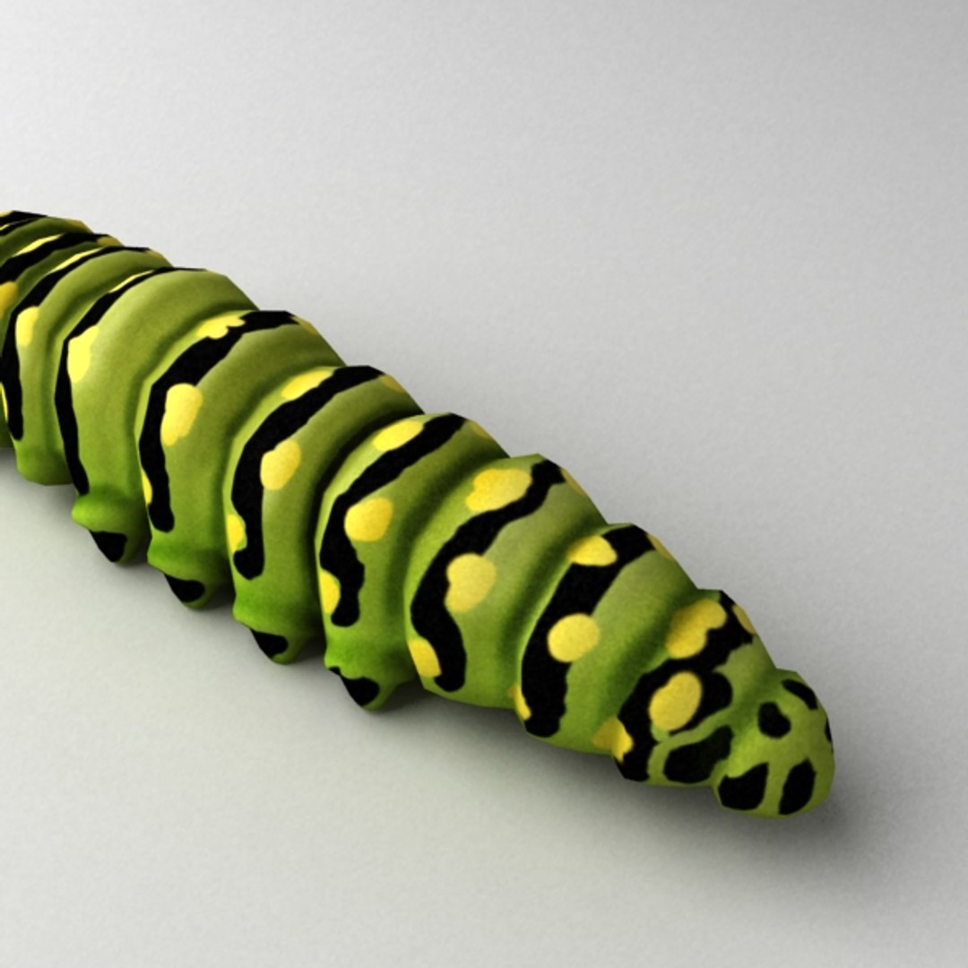 Ged Animation 3d Obj