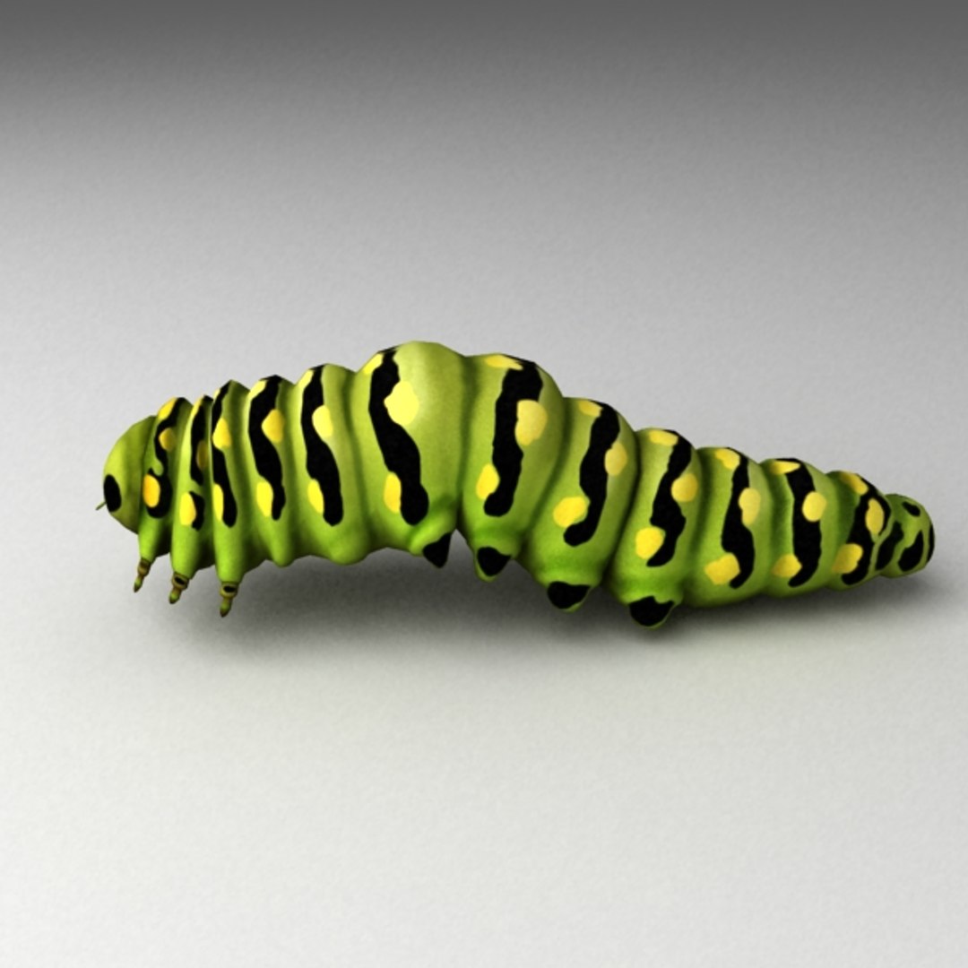Ged Animation 3d Obj