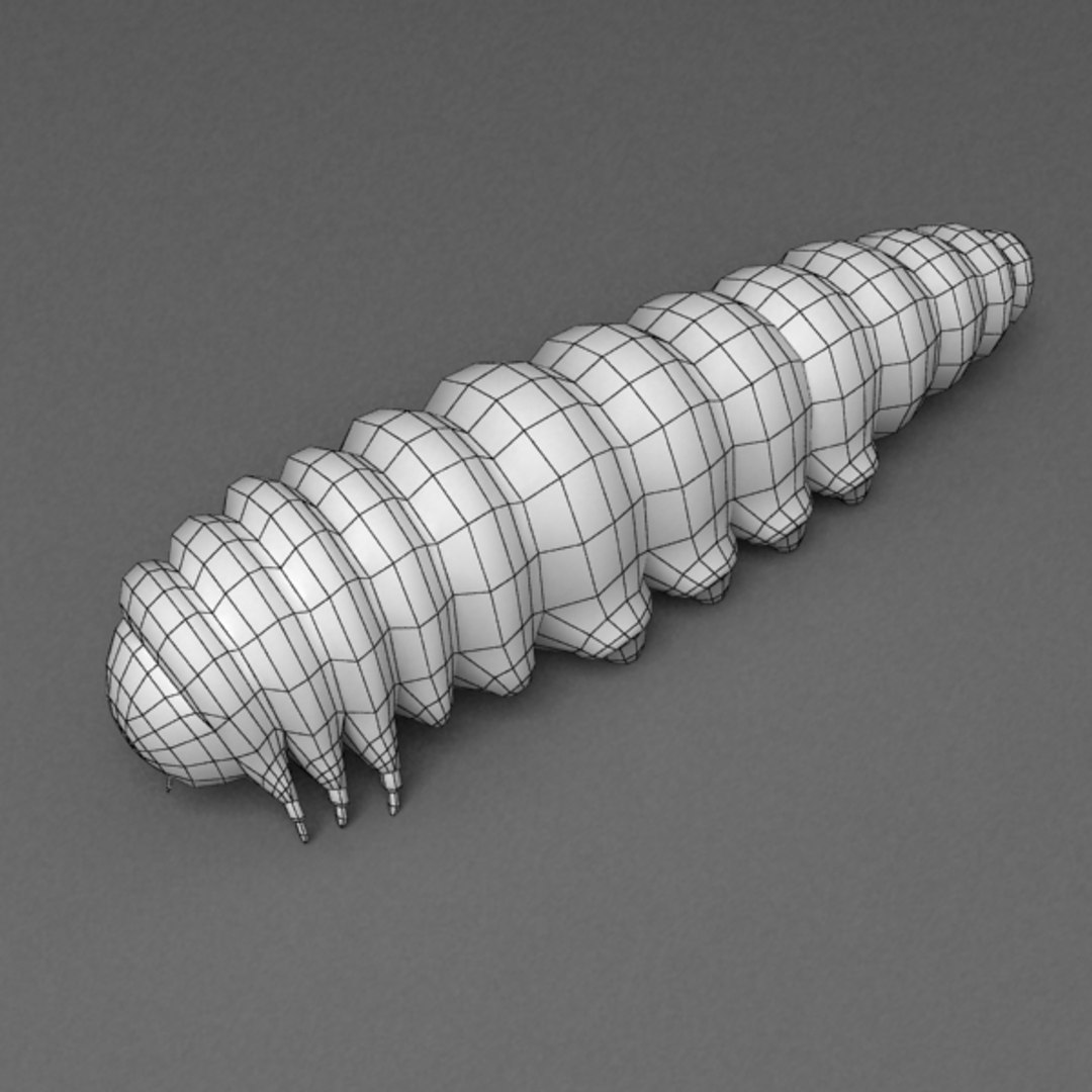 Ged Animation 3d Obj