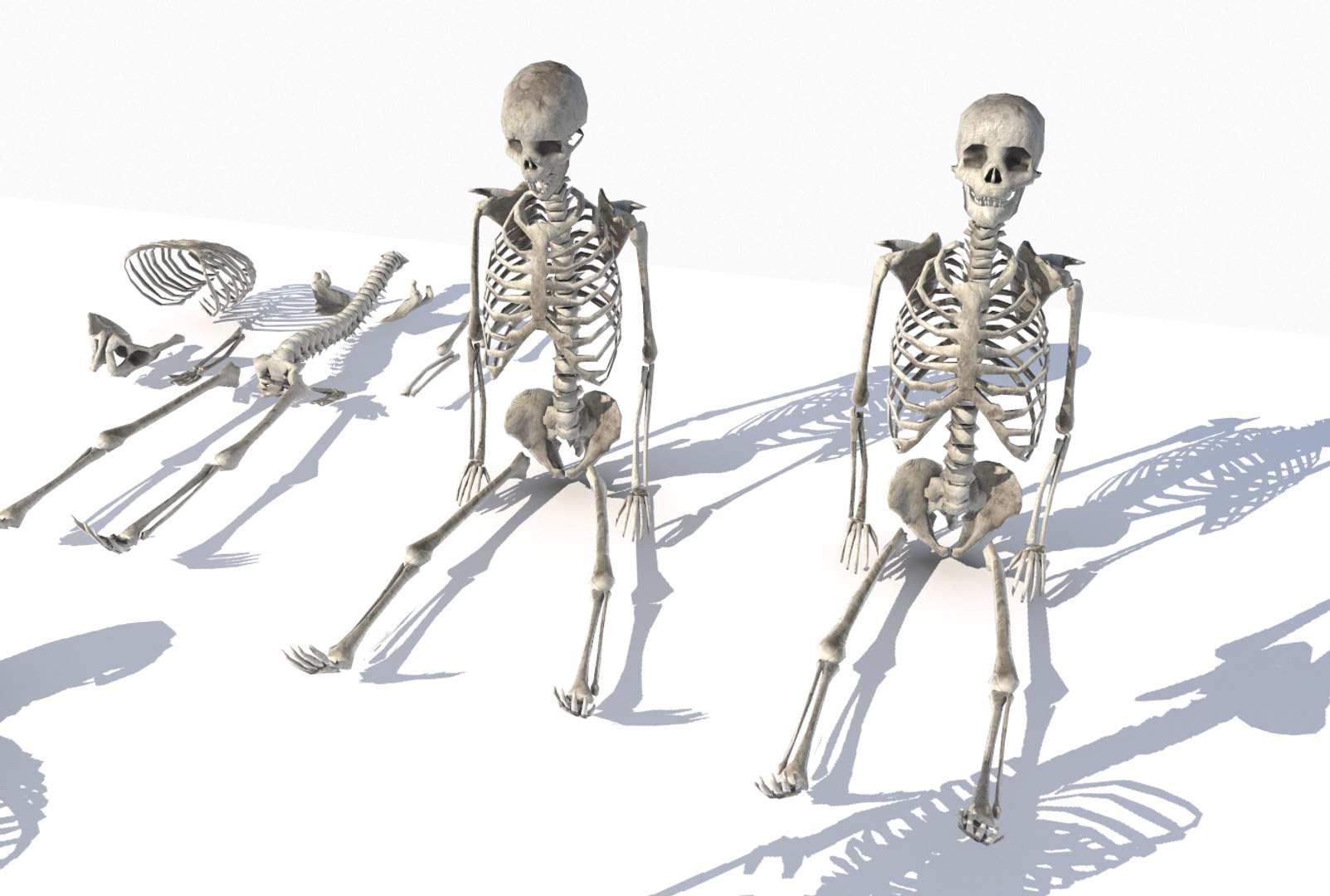 Pack Bones Skeletons Pbr 3D Model - TurboSquid 1420201