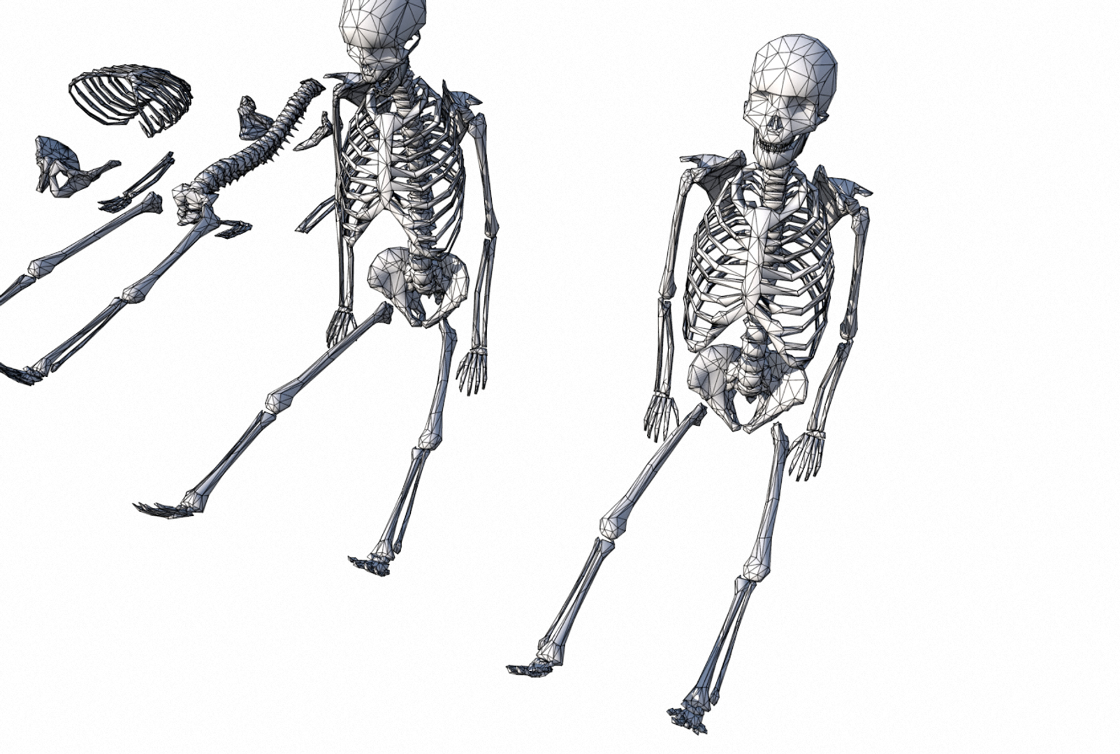 pack-bones-skeletons-pbr-3d-model-turbosquid-1420201