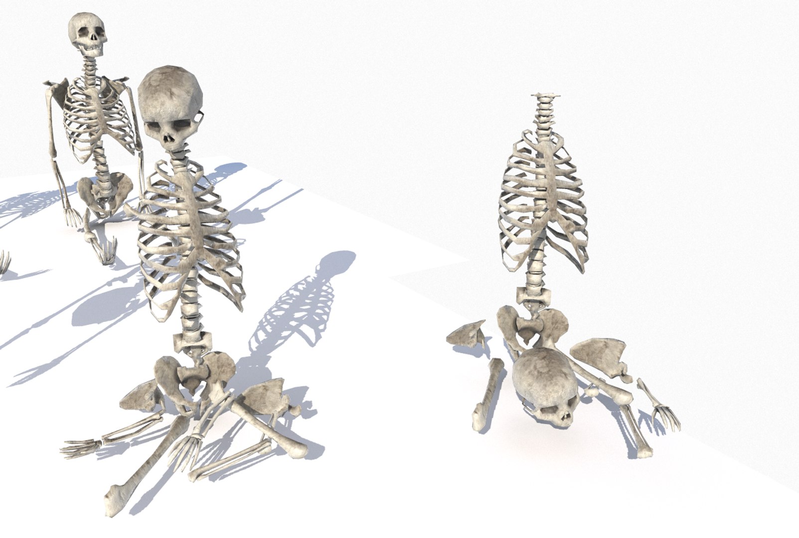 Pack Bones Skeletons Pbr 3D Model - TurboSquid 1420201