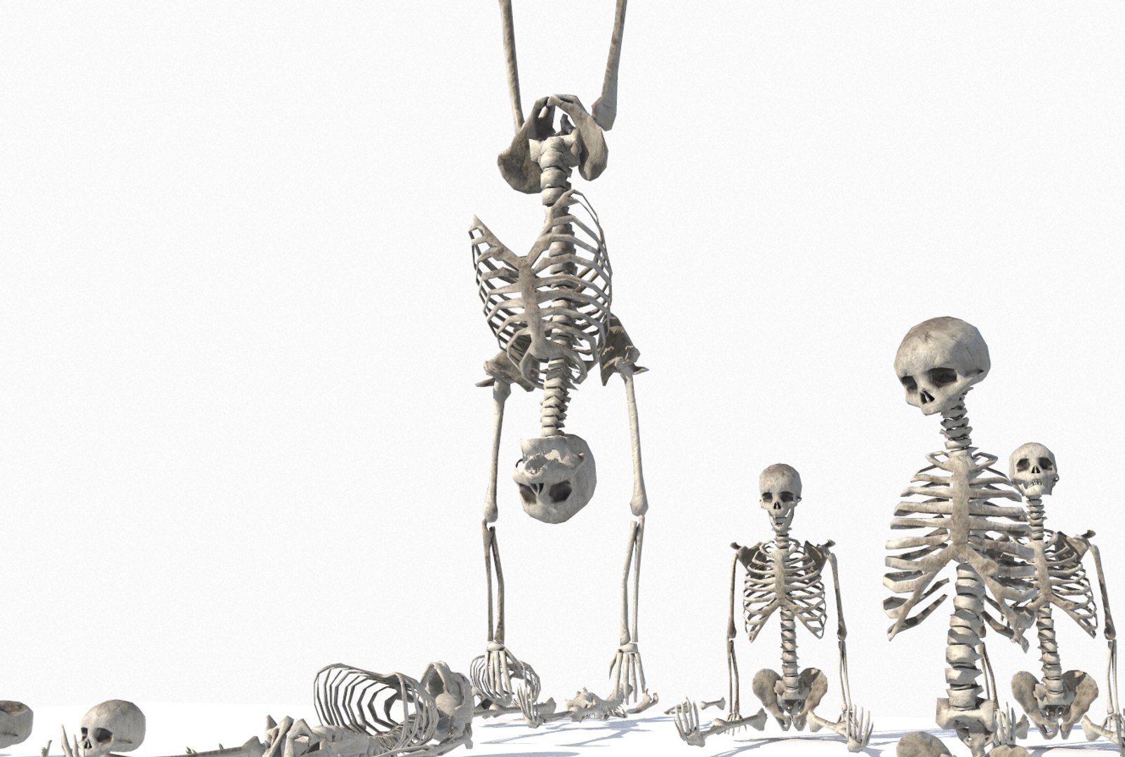 Pack Bones Skeletons Pbr 3D Model - TurboSquid 1420201