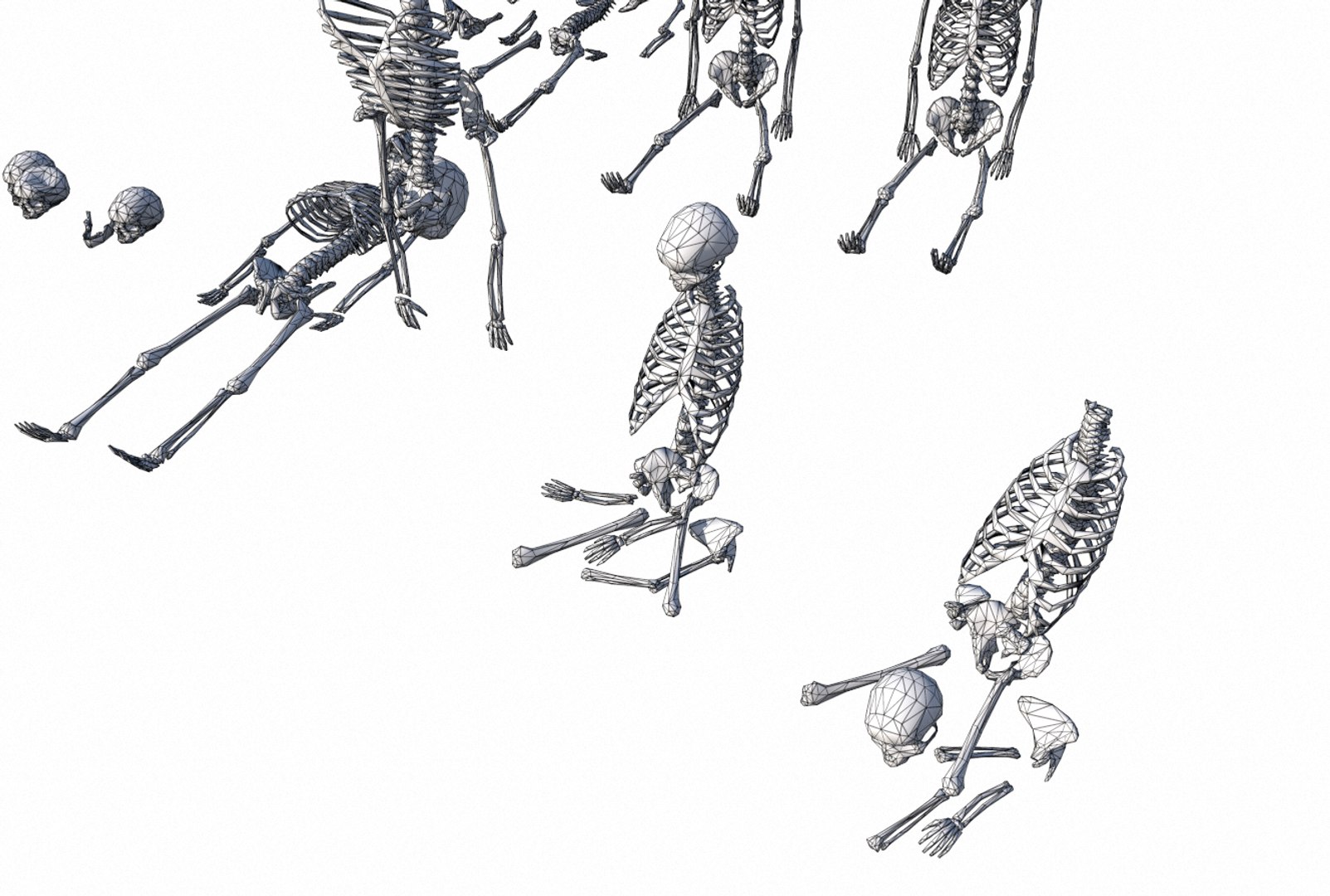 Pack Bones Skeletons Pbr 3D Model - TurboSquid 1420201