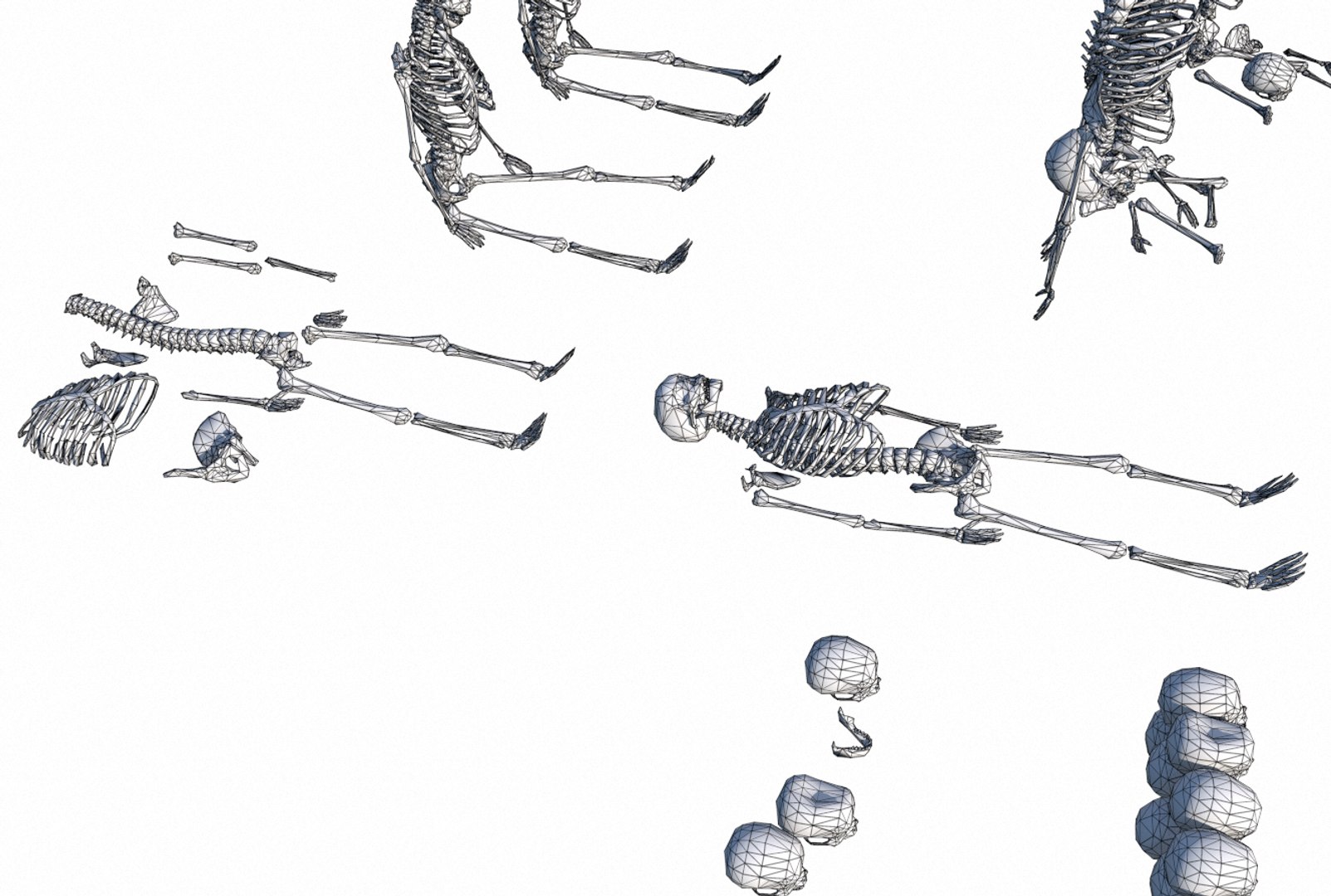 Pack Bones Skeletons Pbr 3D Model - TurboSquid 1420201