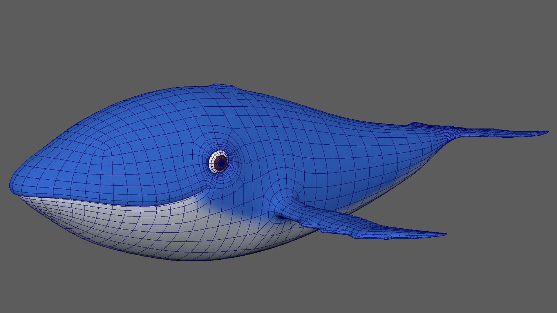 Whale 3D Model - TurboSquid 2075767