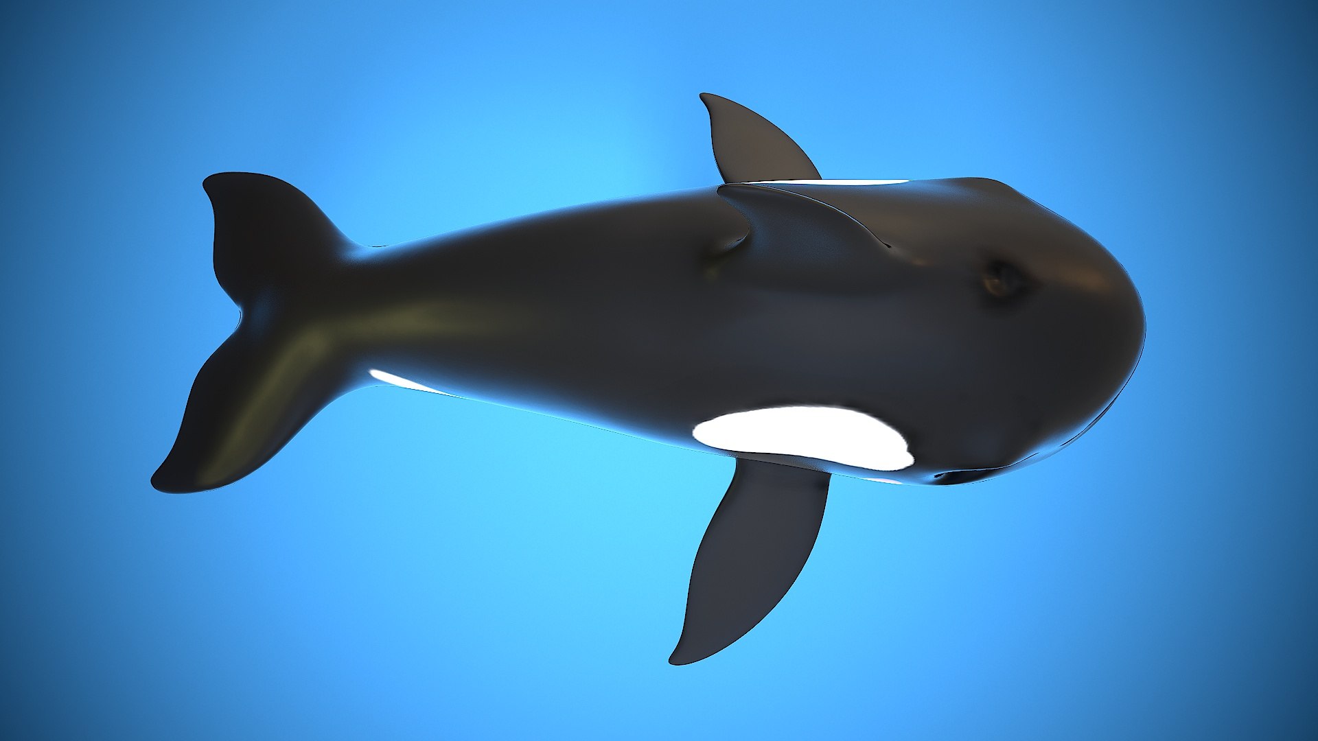 3D Cartoon Orca - TurboSquid 2259649