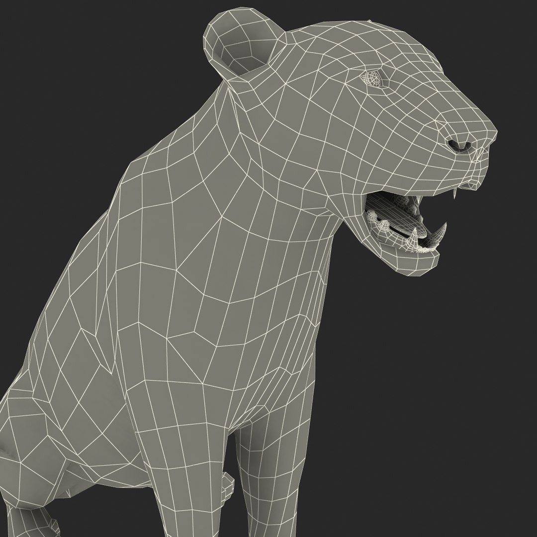 3d Lioness Pose 4 Model