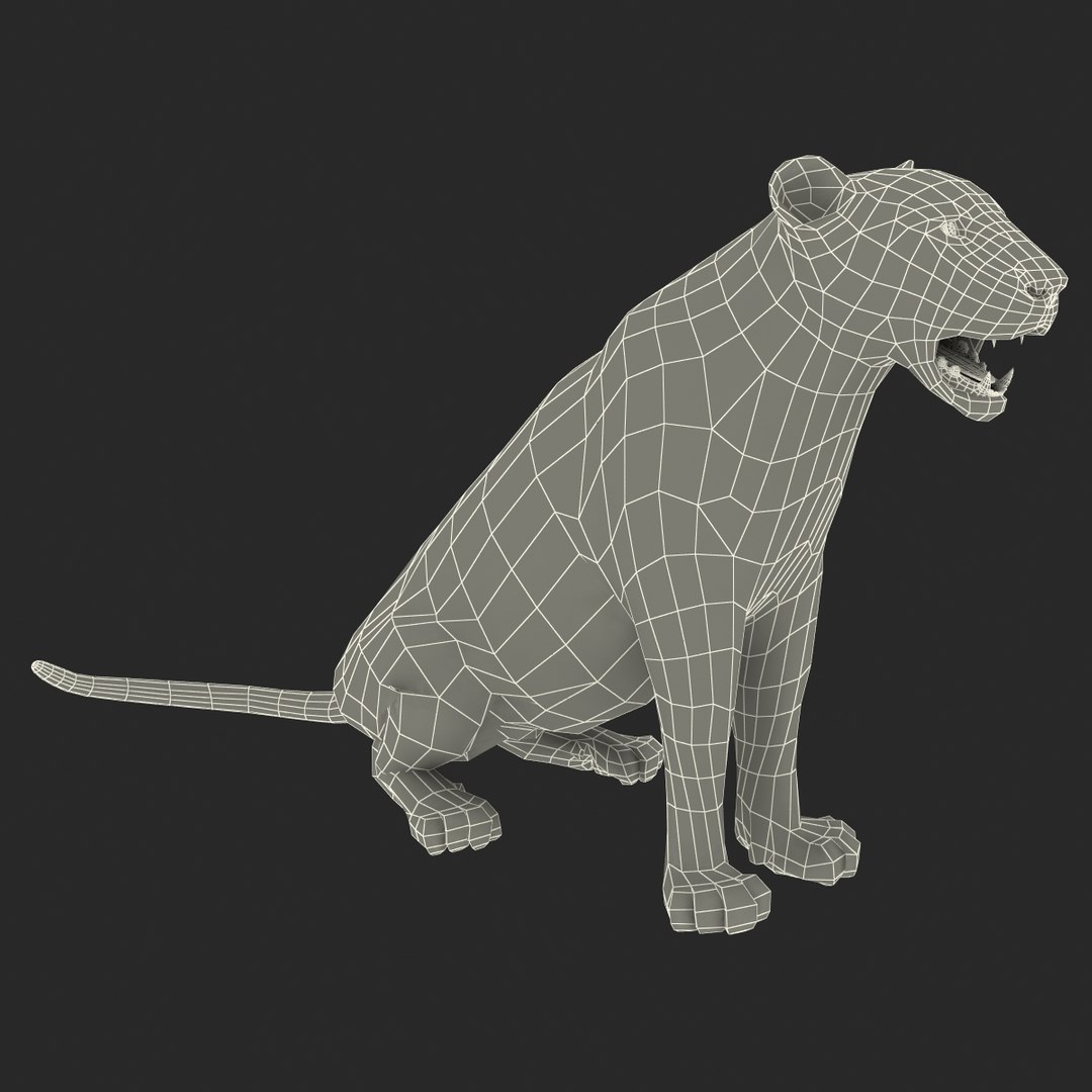 3d Lioness Pose 4 Model