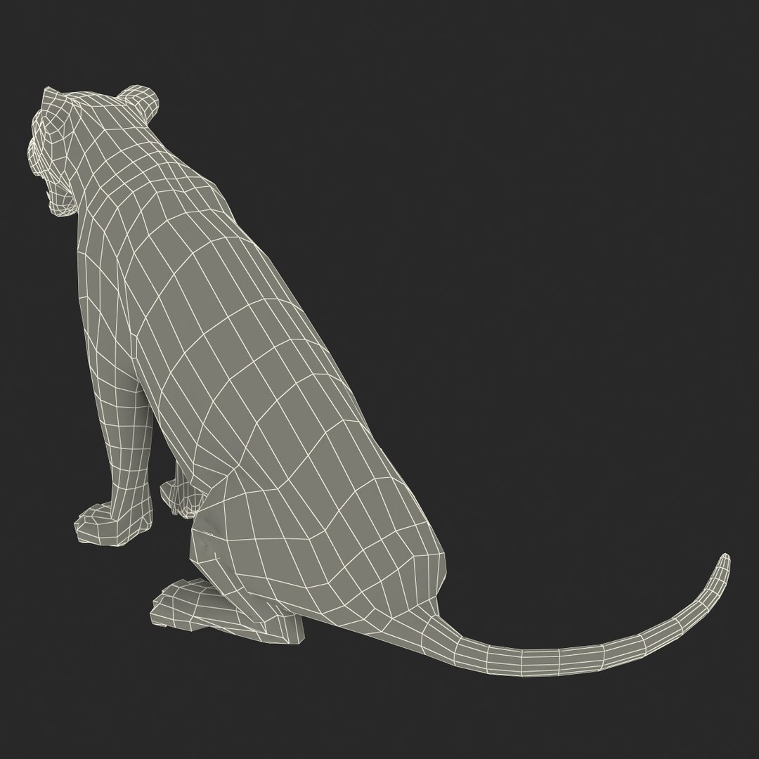 3d Lioness Pose 4 Model
