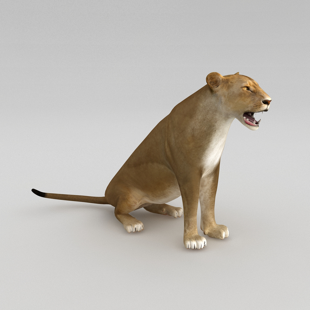 3d Lioness Pose 4 Model
