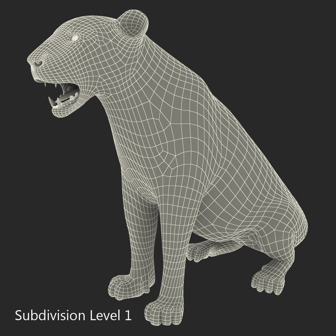 3d Lioness Pose 4 Model