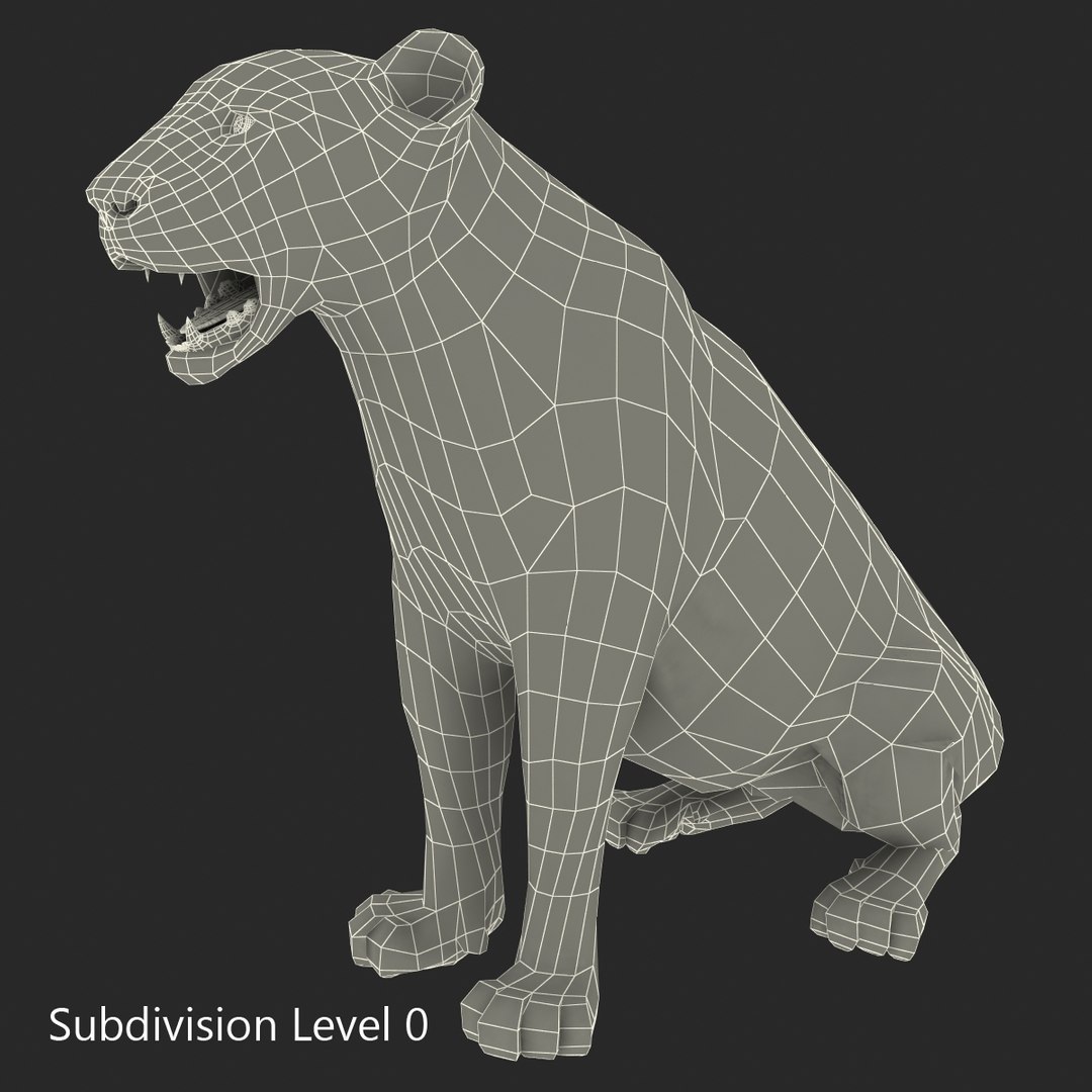 3d Lioness Pose 4 Model