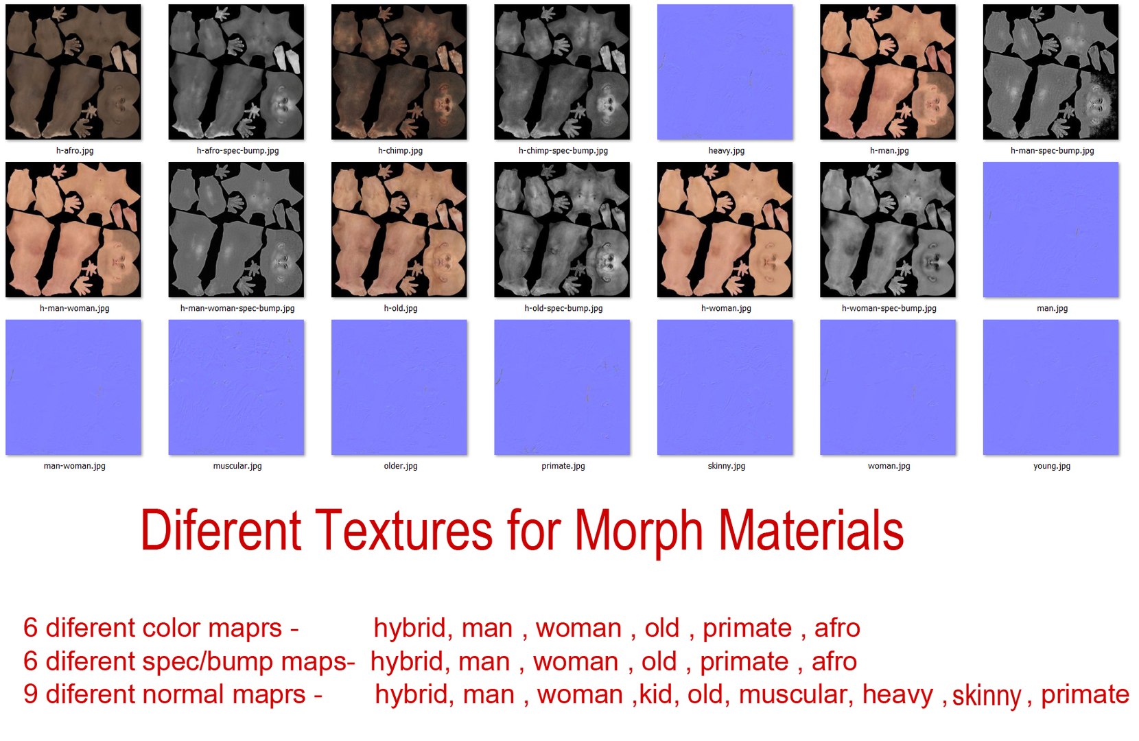 Human Zbuilder 3d Max