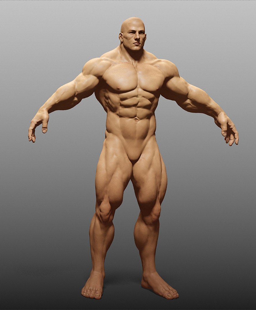 Human Zbuilder 3d Max
