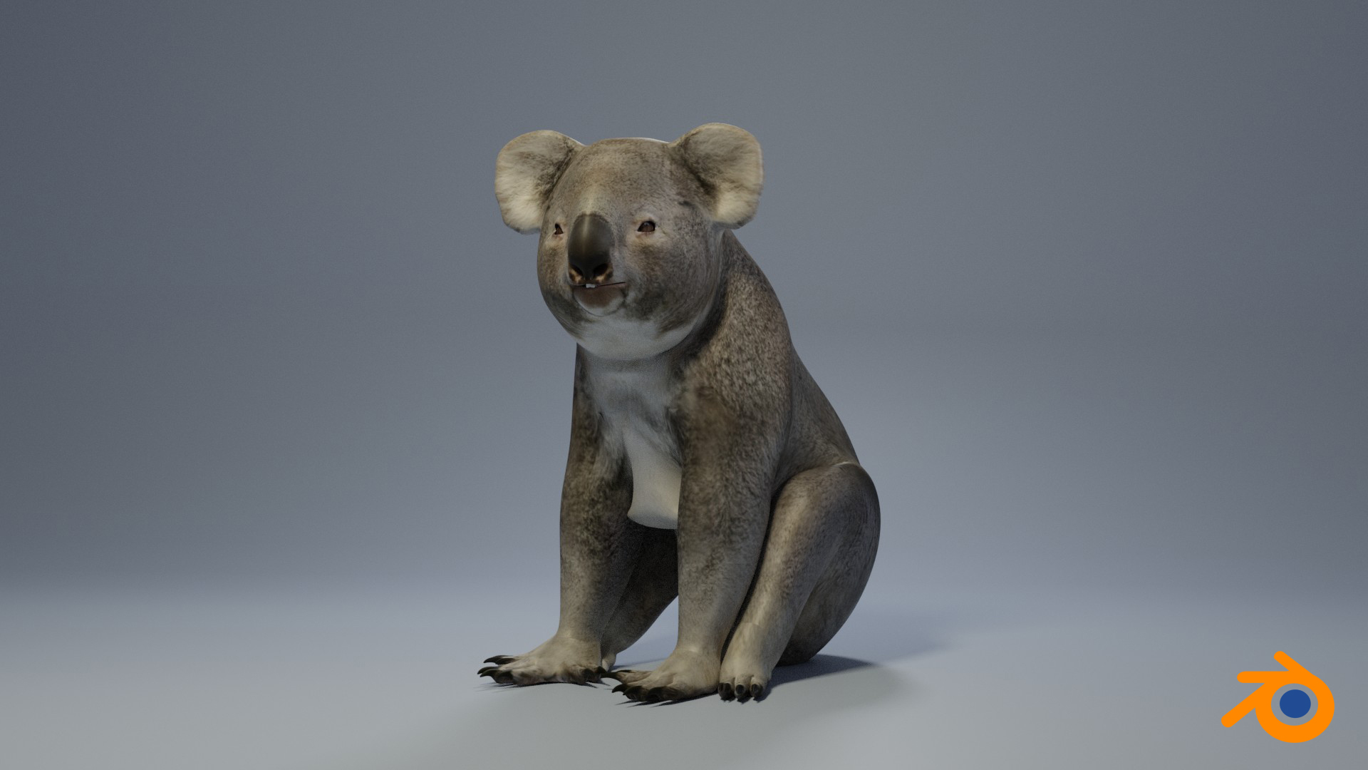 3D Koala - TurboSquid 1746984