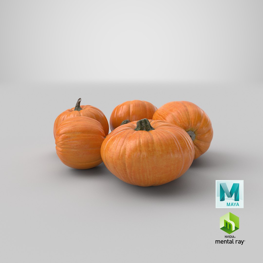 Pumpkin-patch---group 3D model - TurboSquid 1324249