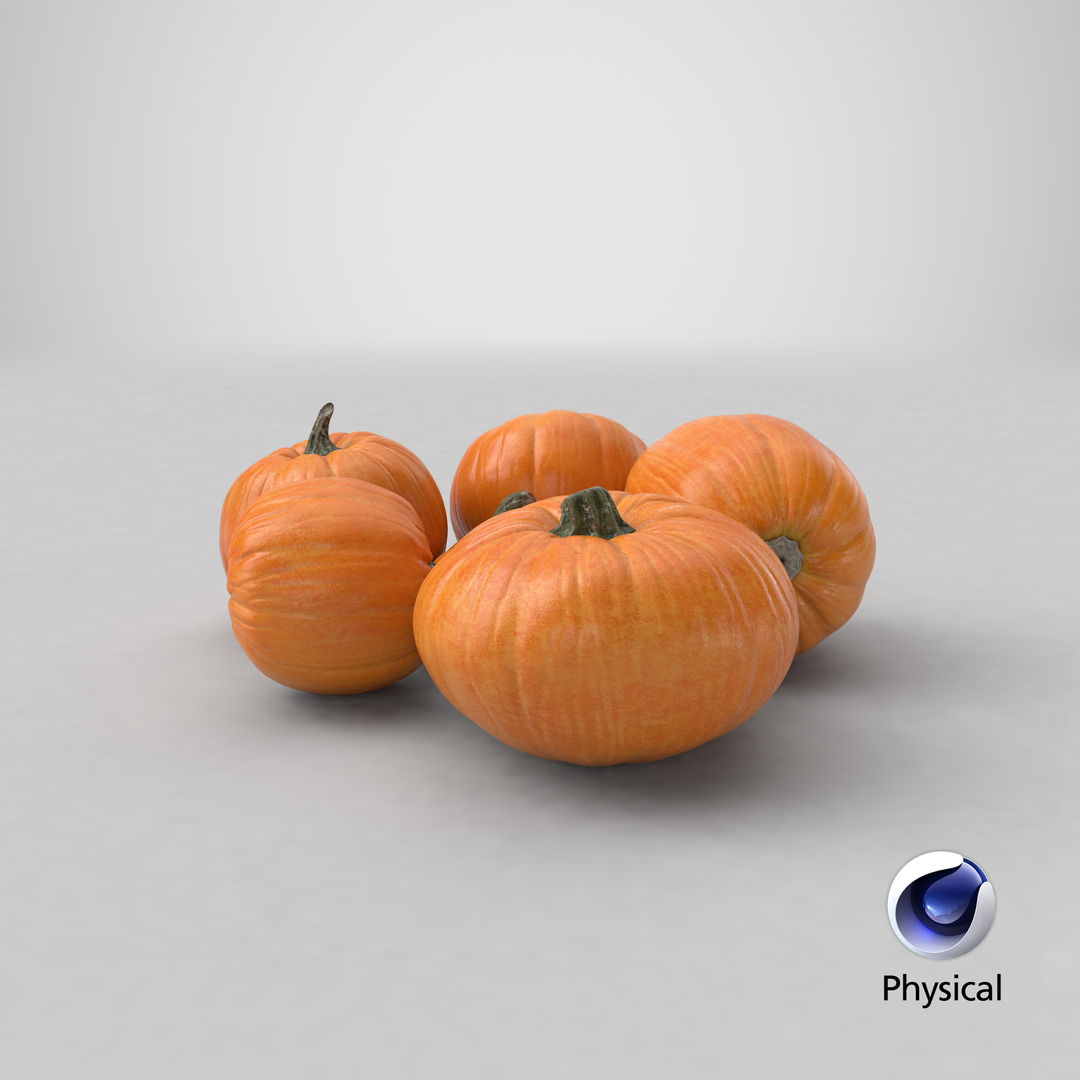 Pumpkin-patch---group 3D model - TurboSquid 1324249