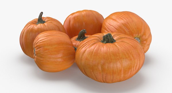 Pumpkin-patch---group 3D model - TurboSquid 1324249