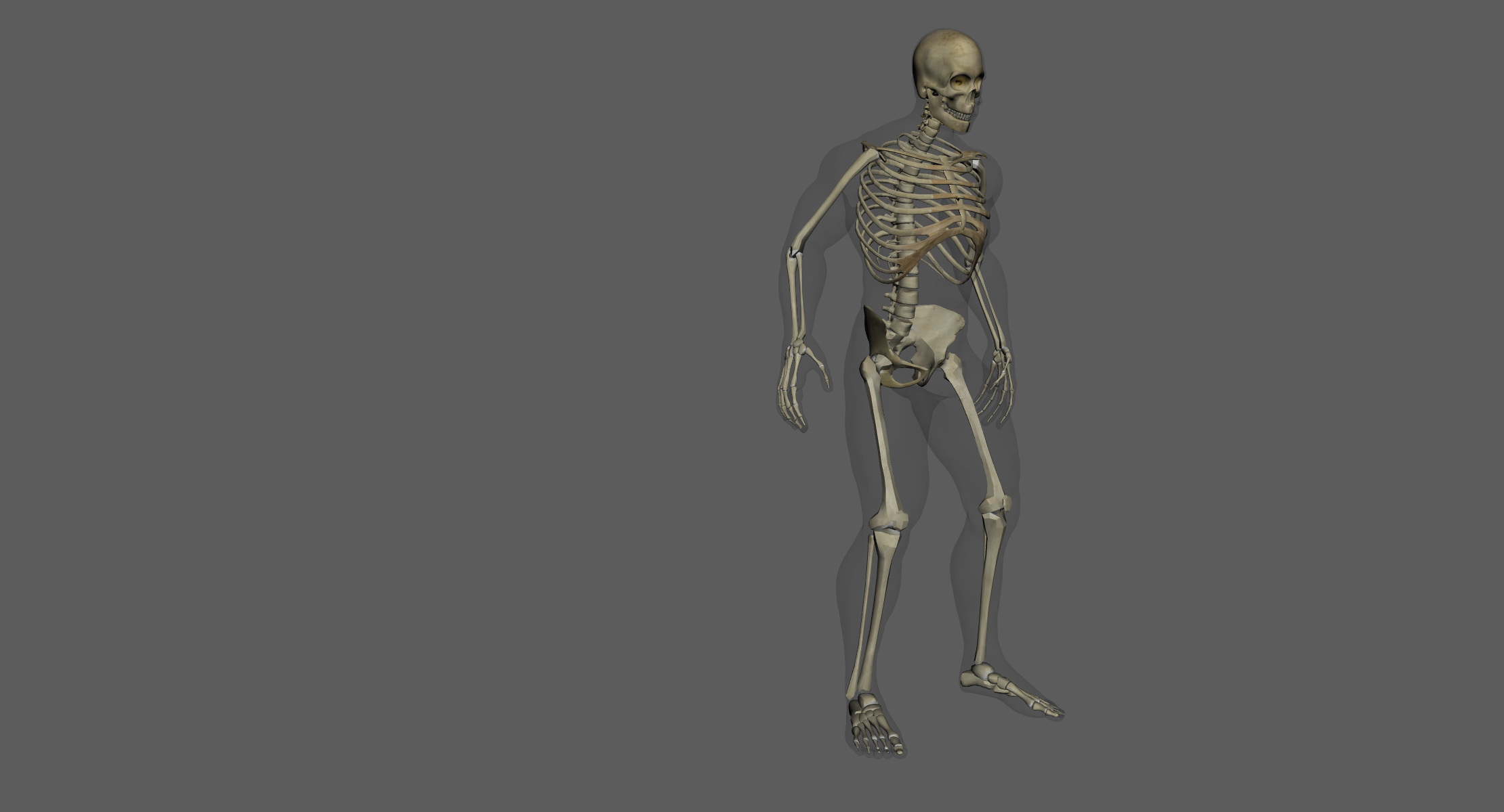 Motion capture anatomy combo 3D model - TurboSquid 1452707