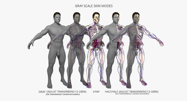 Motion capture anatomy combo 3D model - TurboSquid 1452707