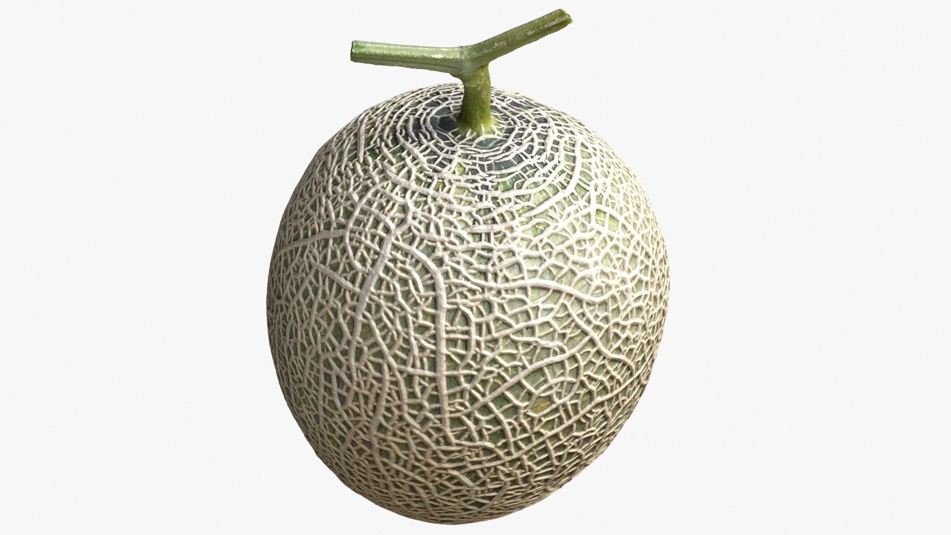 3D Melon - TurboSquid 1777521