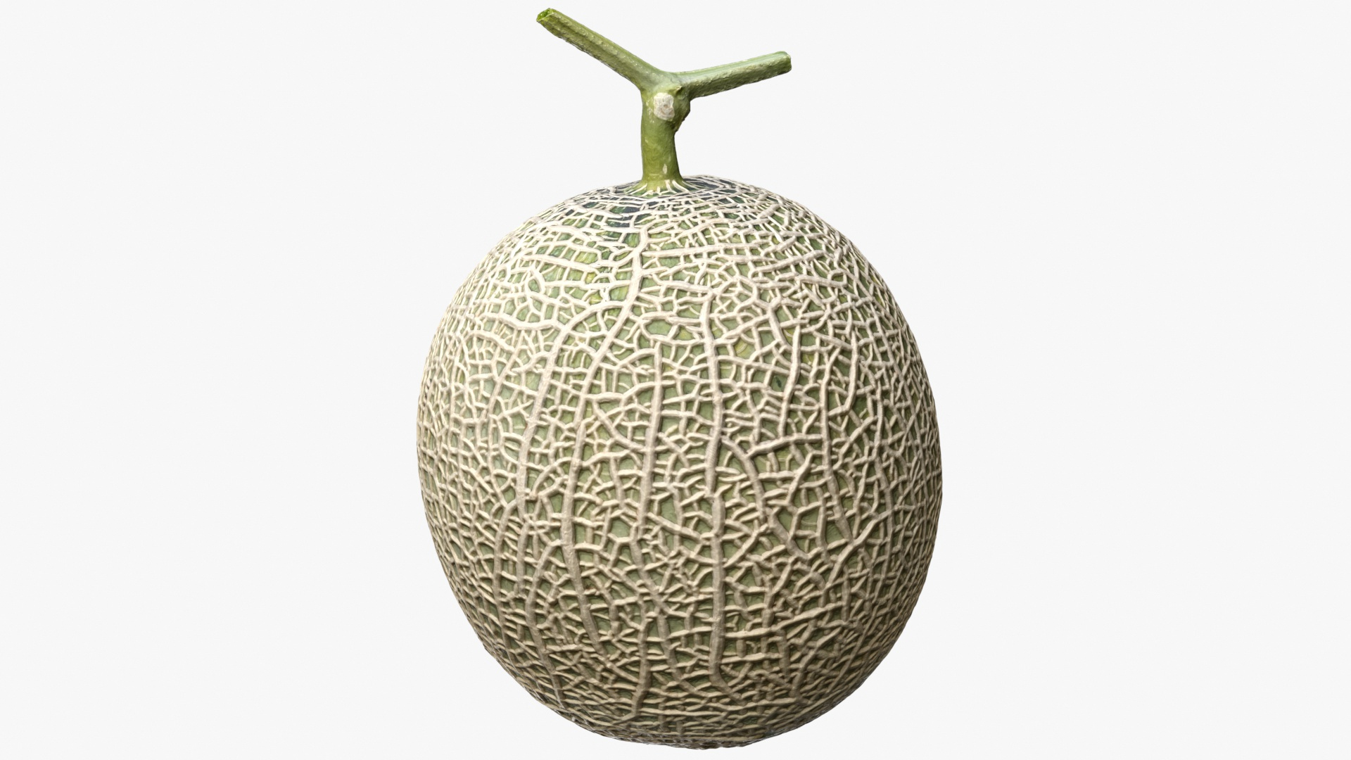 3D Melon - TurboSquid 1777521