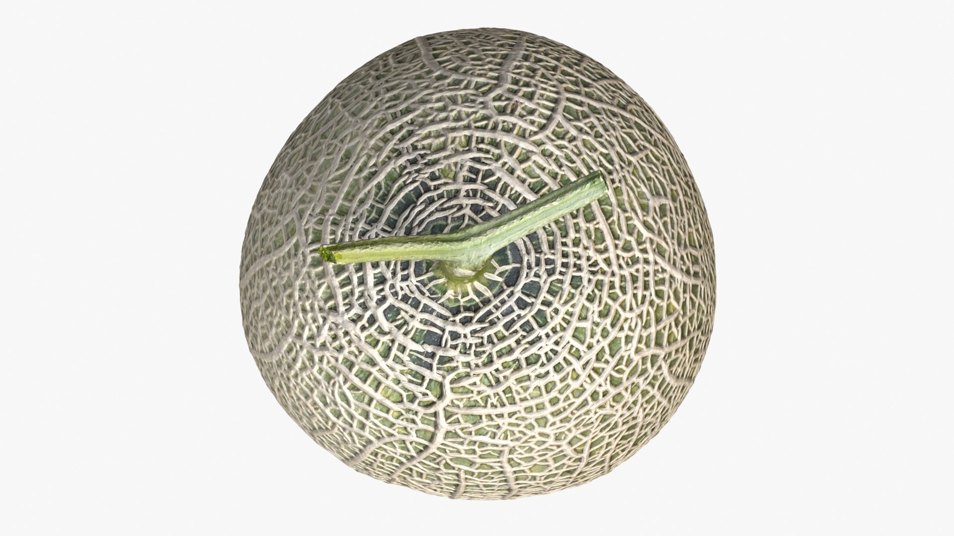3D Melon - TurboSquid 1777521