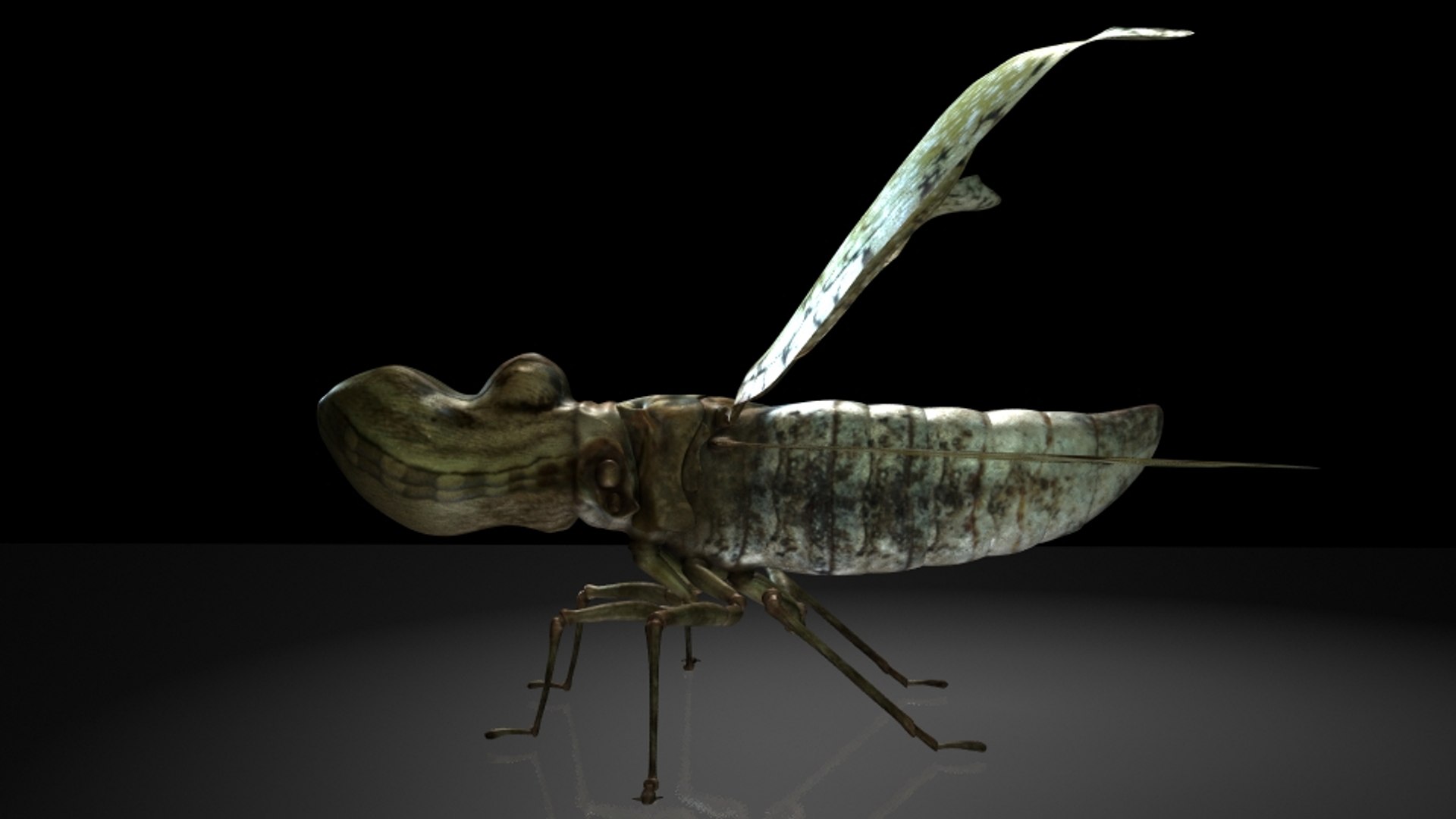 3D Insect - TurboSquid 1214928