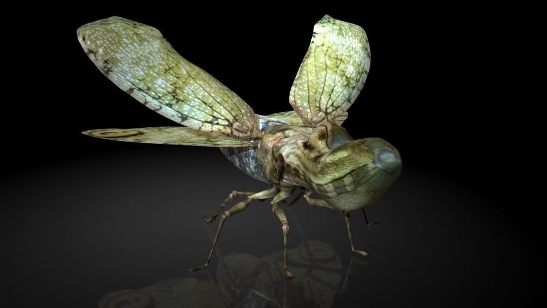3D Insect - TurboSquid 1214928