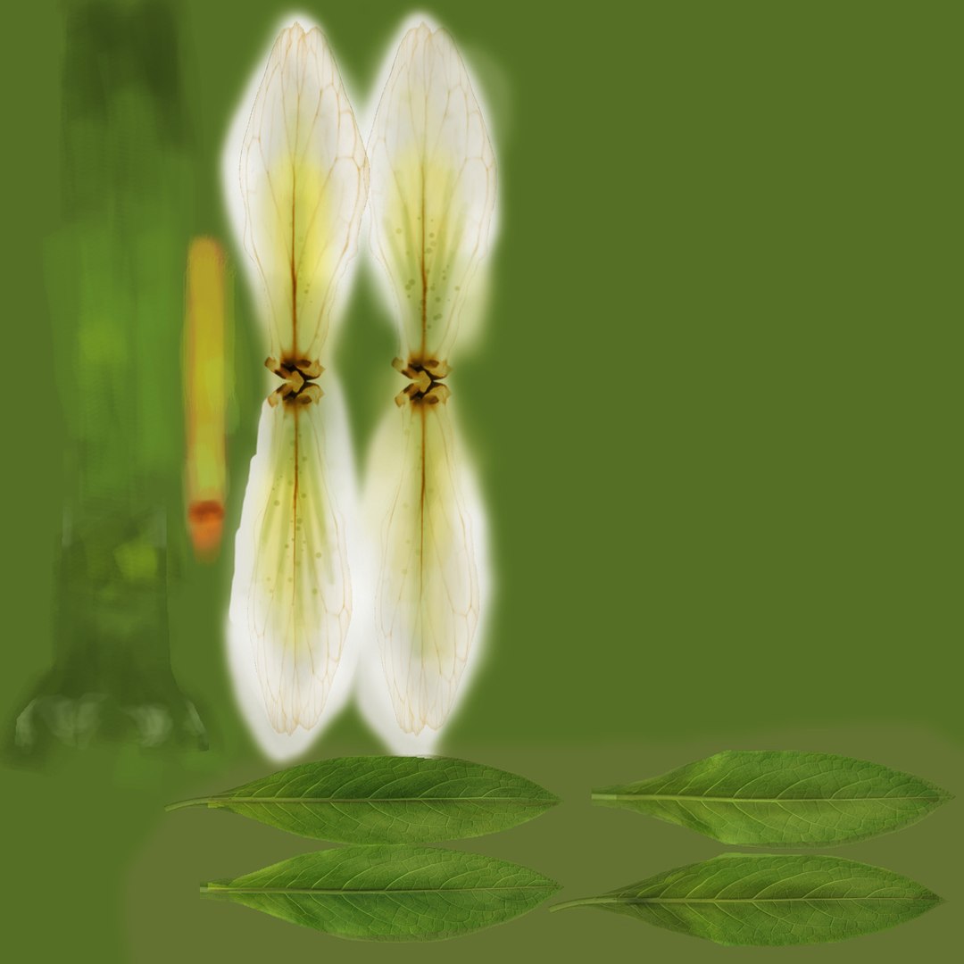 3d Tiger Lily