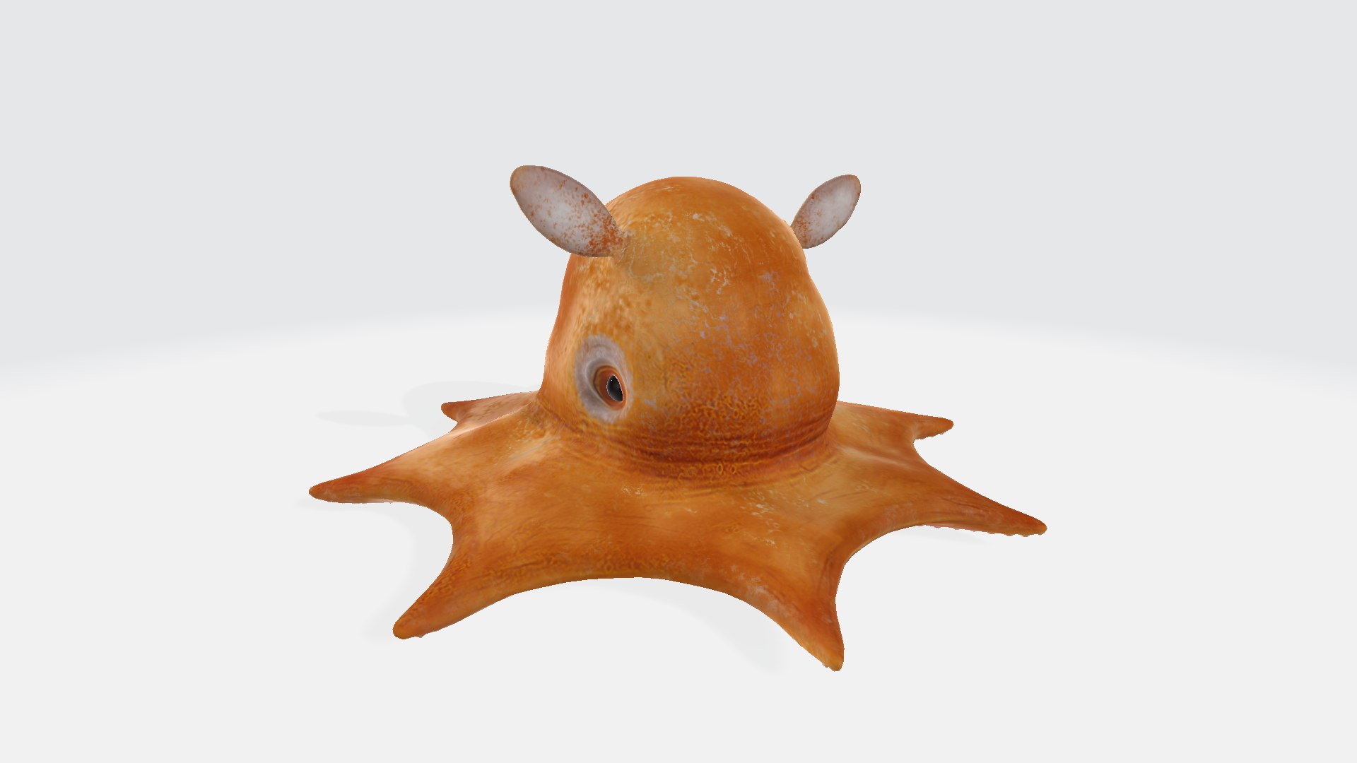 3D Model Flapjack Octopus - TurboSquid 2413261