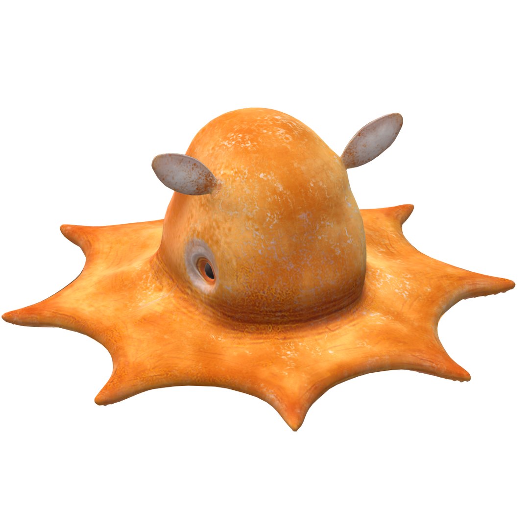 3D Model Flapjack Octopus - TurboSquid 2413261