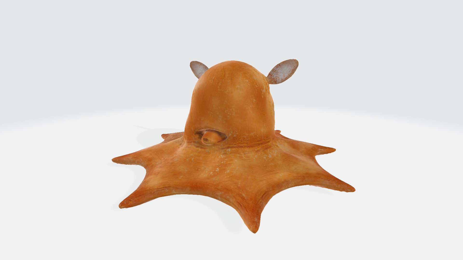 3D Model Flapjack Octopus - TurboSquid 2413261