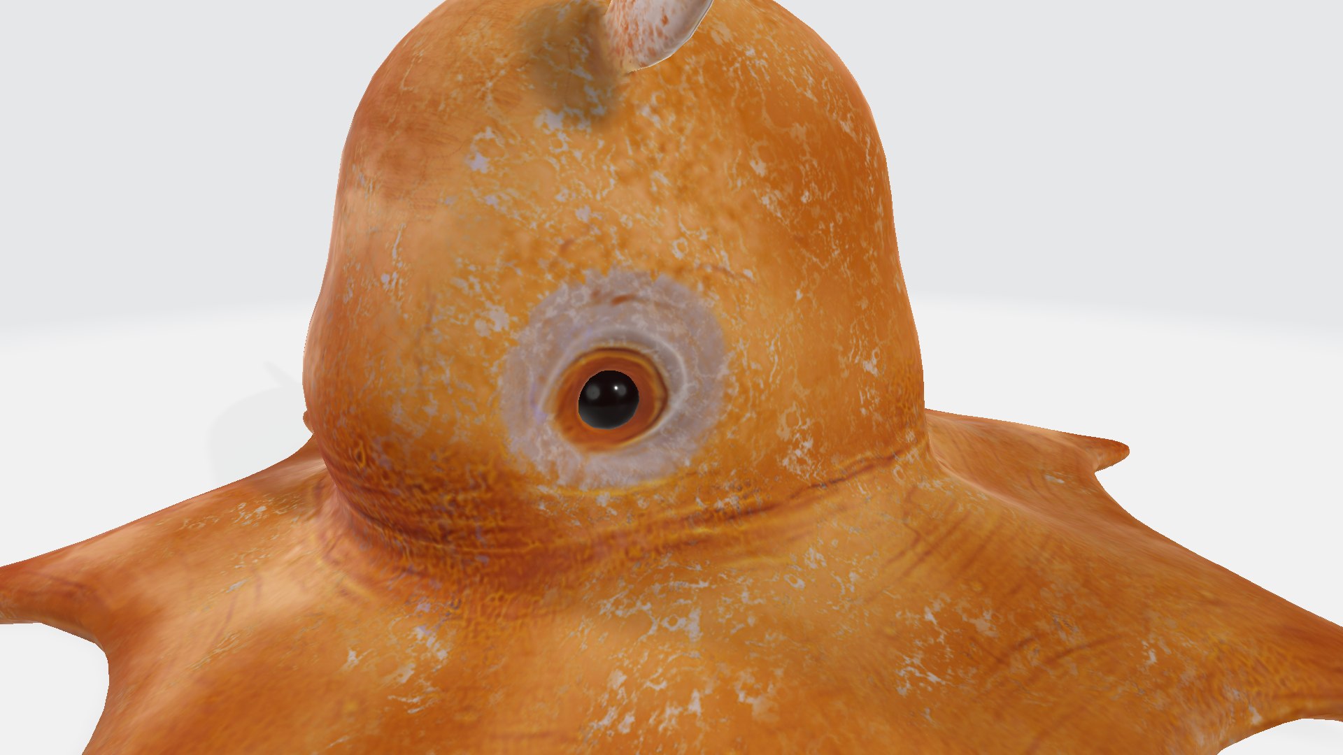 3D Model Flapjack Octopus - TurboSquid 2413261