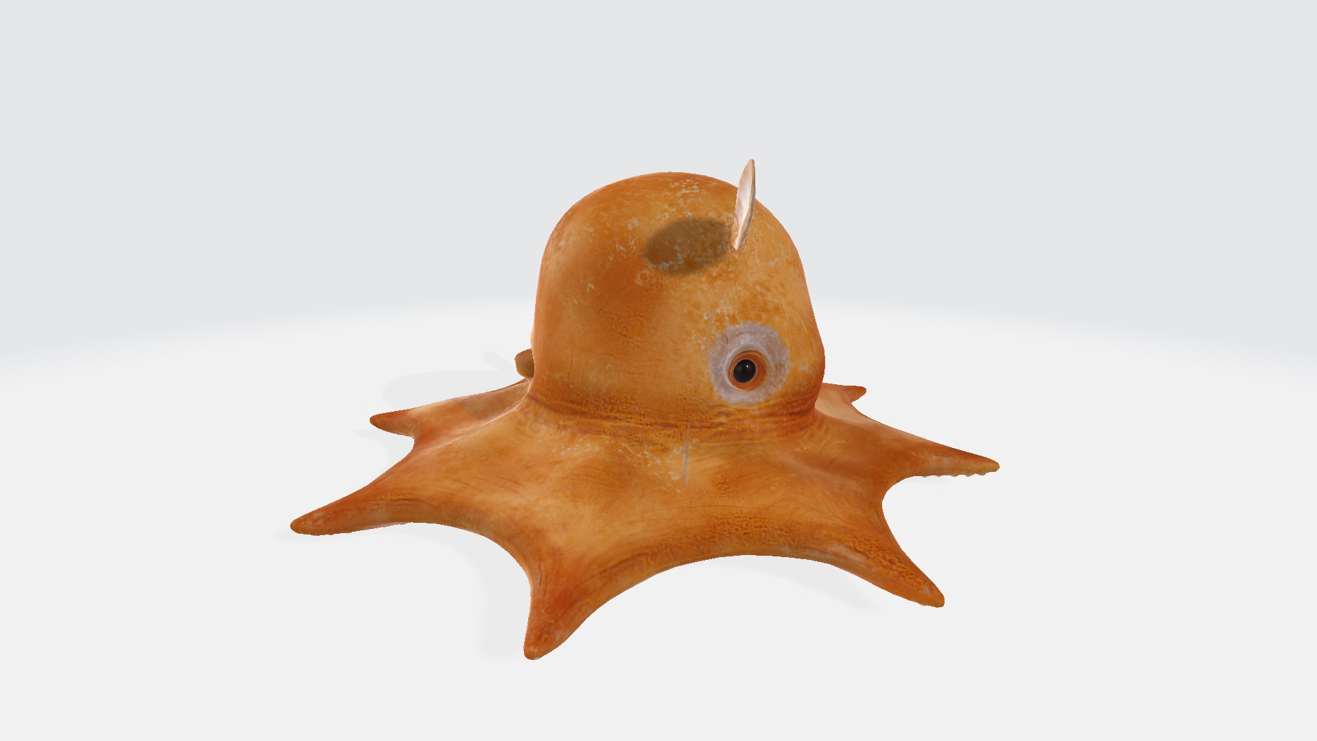 3D Model Flapjack Octopus - TurboSquid 2413261