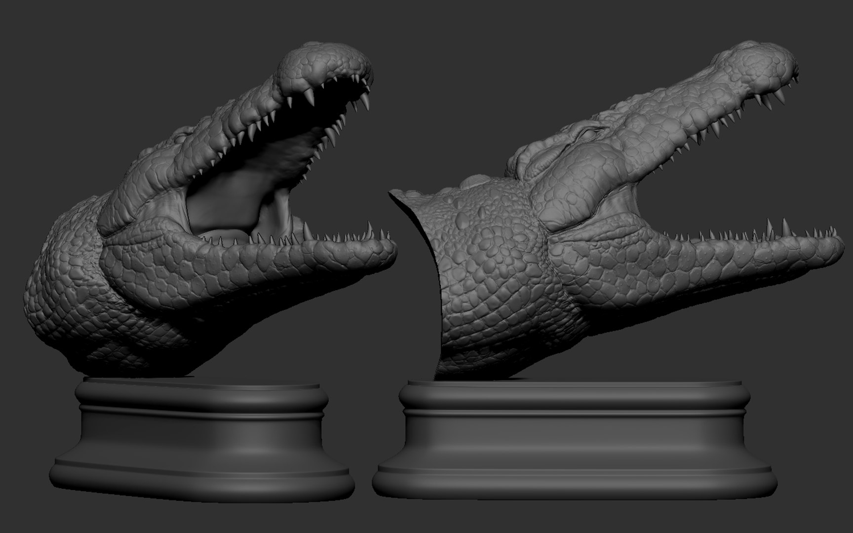 Crocodile Head 3D Model - TurboSquid 1973716