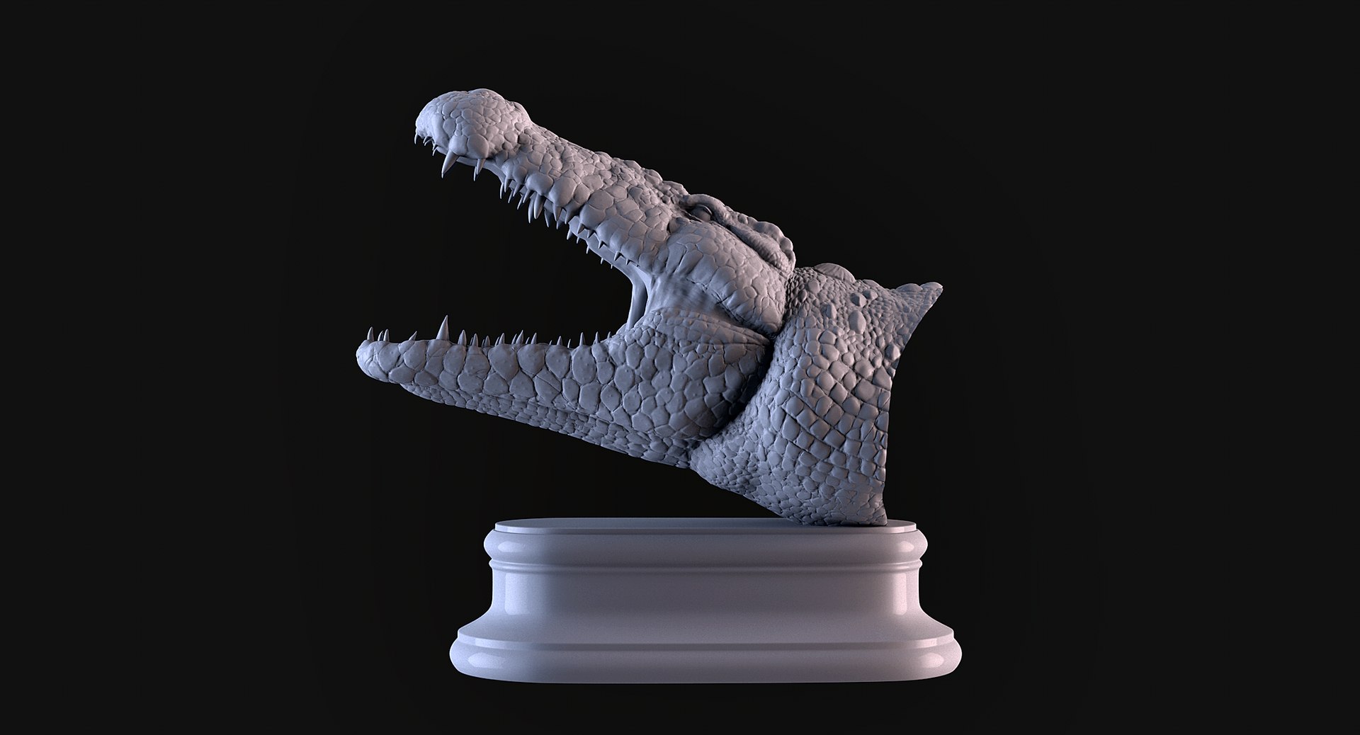 Crocodile Head 3D Model - TurboSquid 1973716