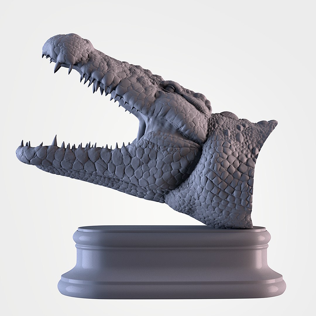Crocodile Head 3D Model - TurboSquid 1973716