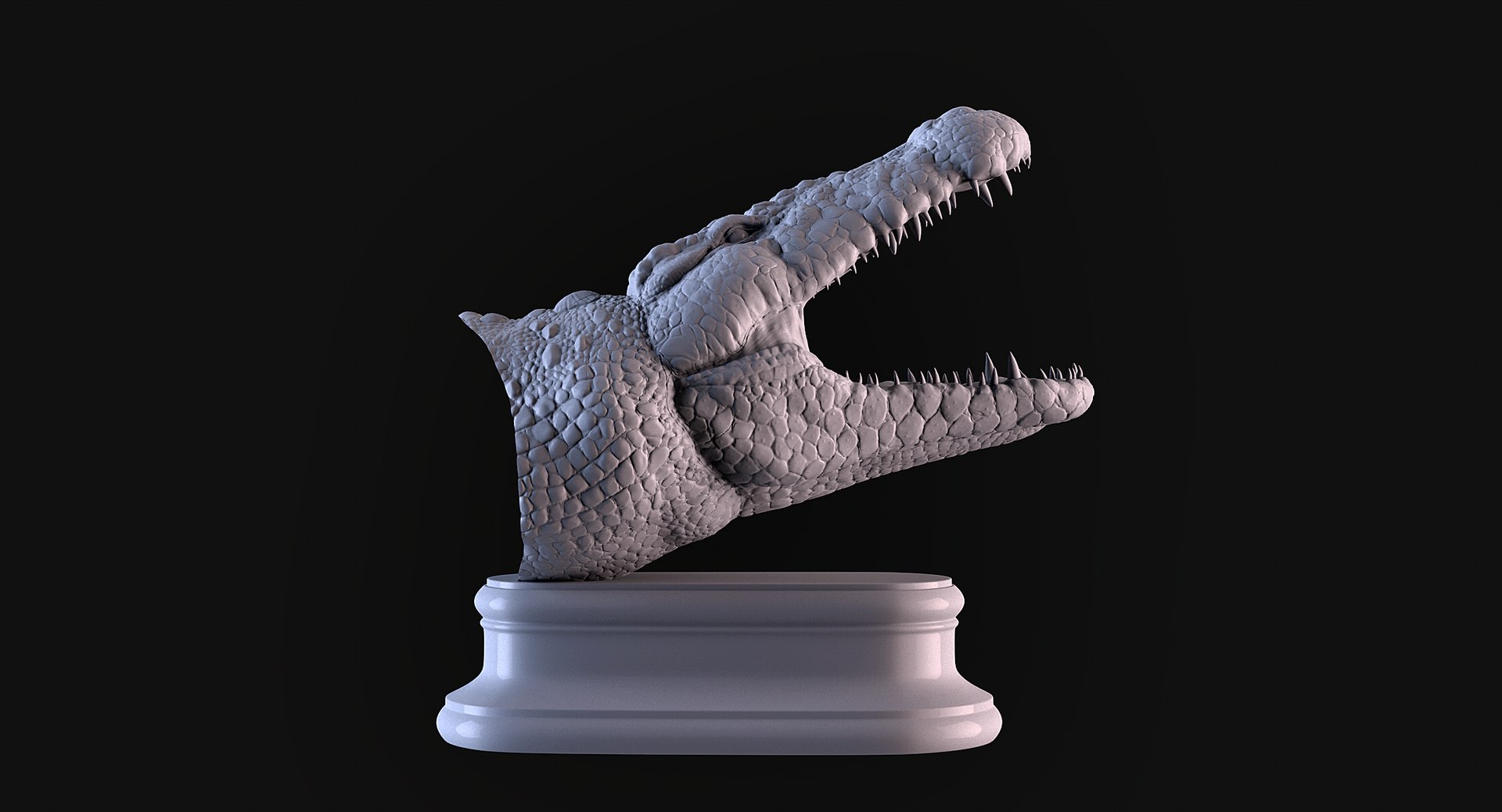 Crocodile Head 3D Model - TurboSquid 1973716