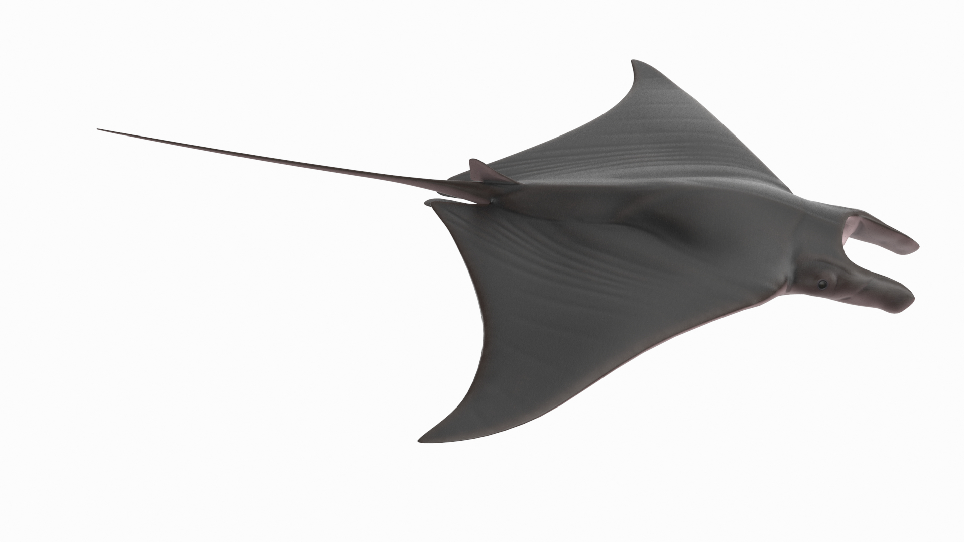 3D Lesser Devil Model - TurboSquid 1450775