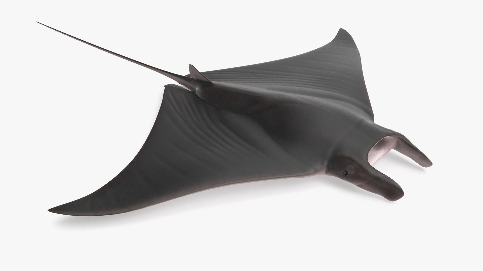 3D Lesser Devil Model - TurboSquid 1450775