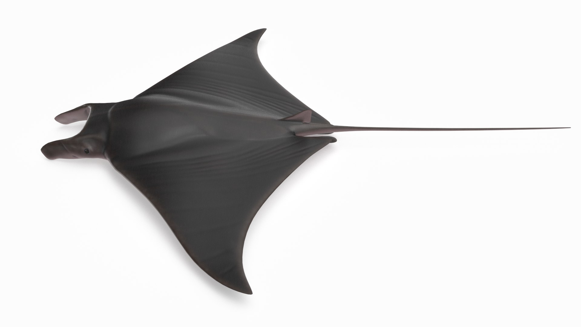 3D Lesser Devil Model - TurboSquid 1450775