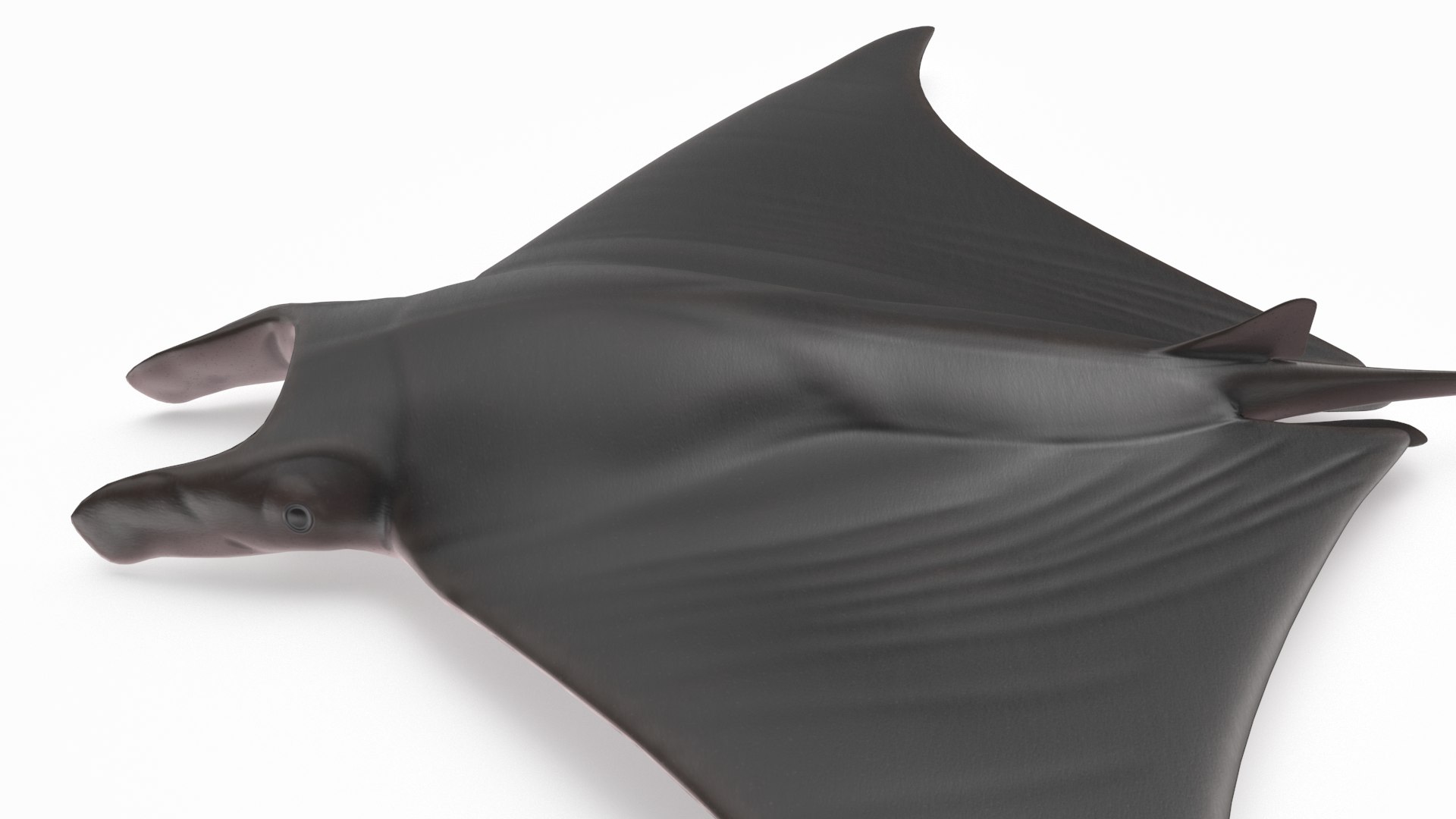 3D Lesser Devil Model - TurboSquid 1450775